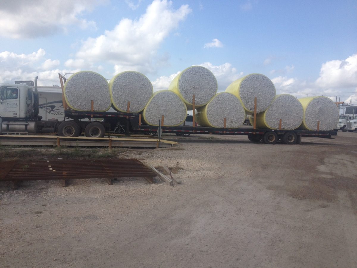 Round Modules - TCGA Home Page